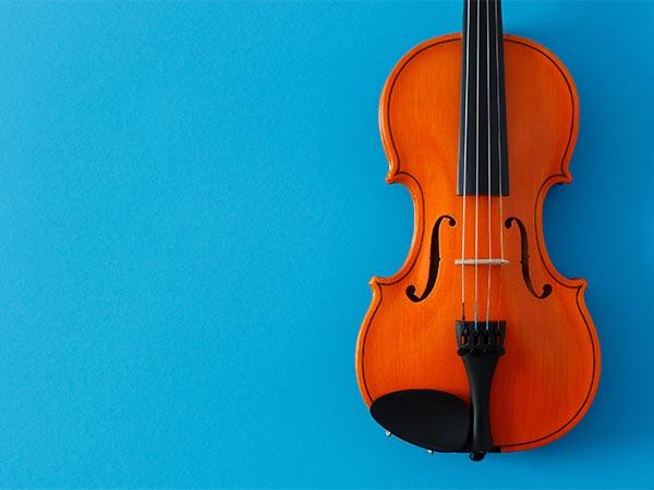 Forenza Brand Overview