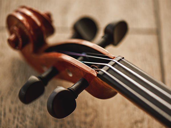 Forenza Uno Series Violins Are Here! | Normans News